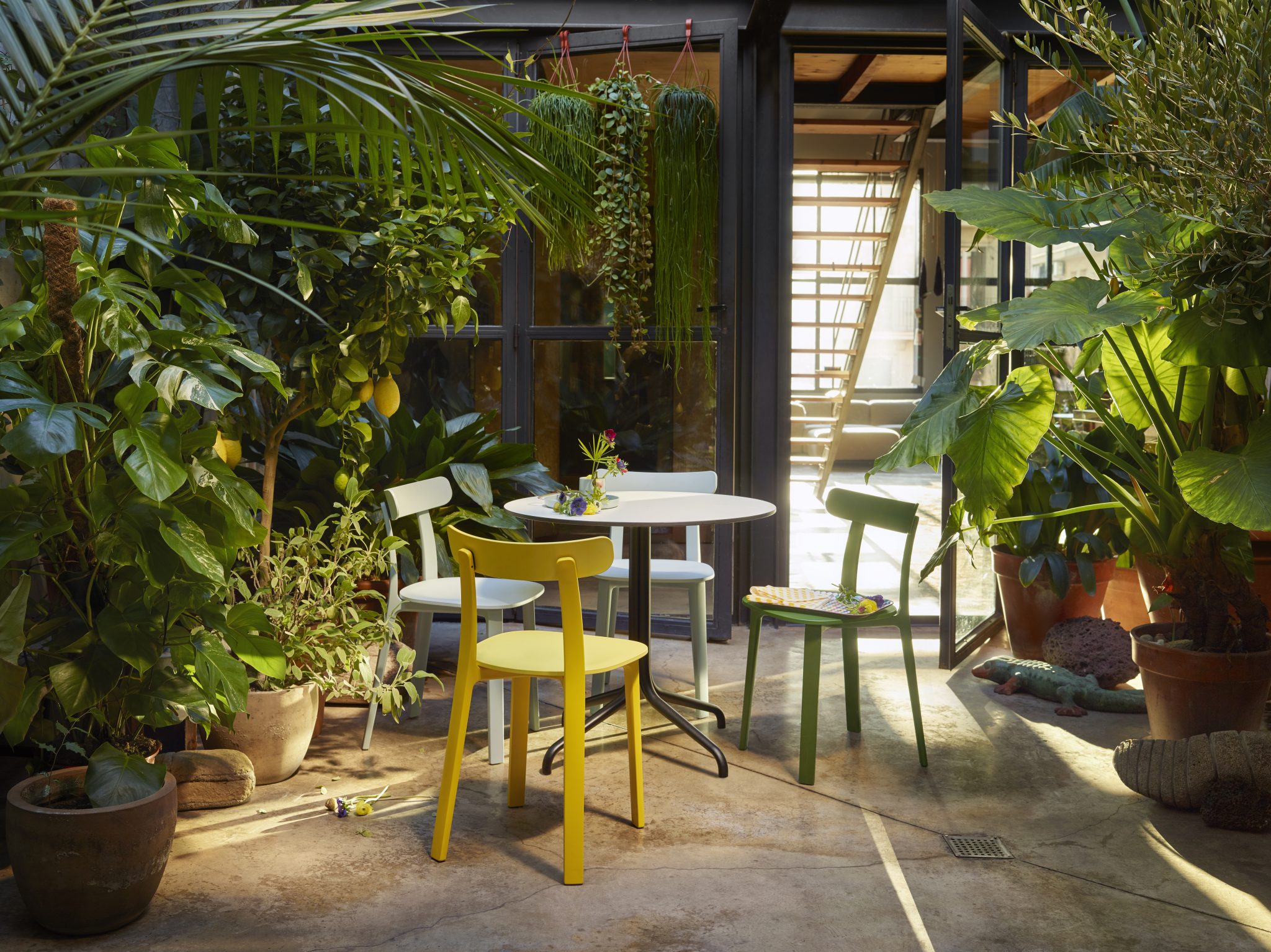 Homepage - rams foundation